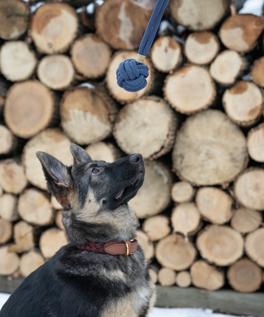 Handmade Nylon Rope Dog Toy– Knotty Pets