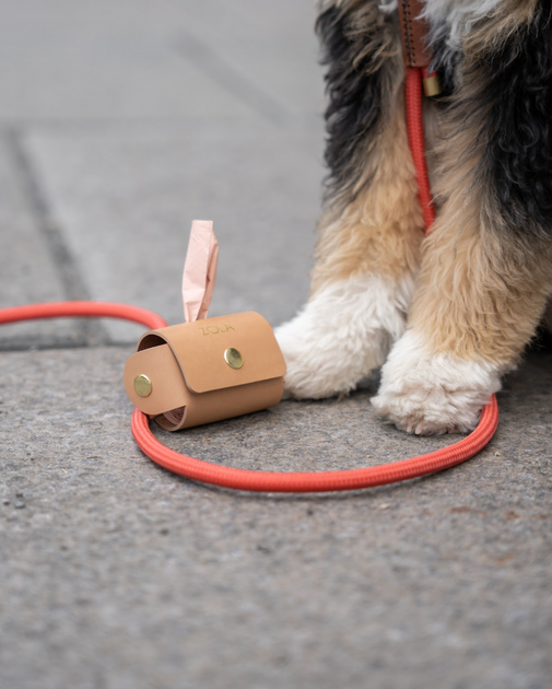 Rope Collar & Leash Set - Peach– Knotty Pets